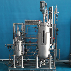 Multiple Multistage Stainless Steel Bioreactor Case of Bioreactor ...