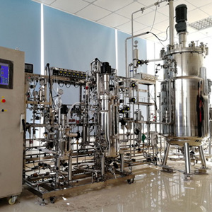Multiple Multistage Stainless Steel Bioreactor Case of Bioreactor ...