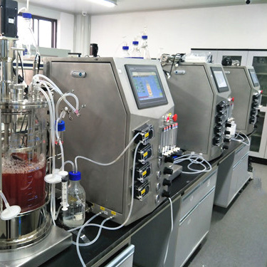 Cell Bioreactor Case of Bioreactor Fermenter System - LABOAO
