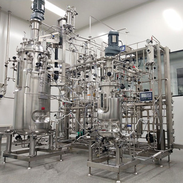 Multiple Multistage Stainless Steel Bioreactor Case of Bioreactor ...
