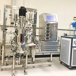 Stainless Steel Bioreactor Case of Bioreactor Fermenter System - LABOAO